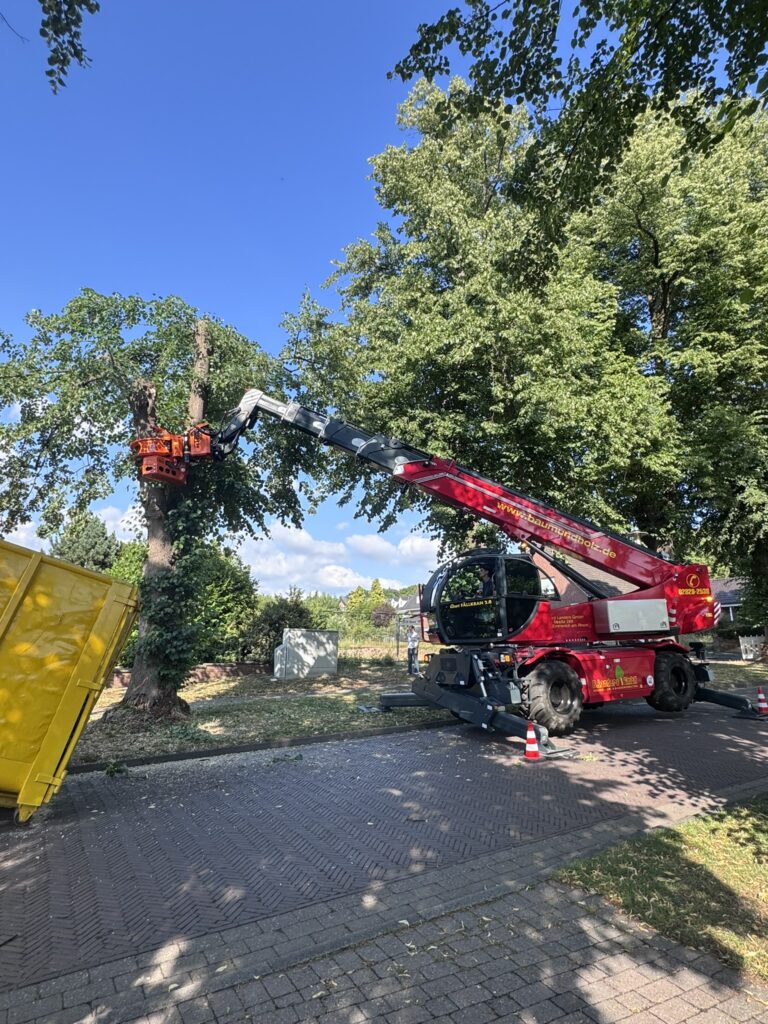 MAGNI Fällkran - Ebert Forsttechnik